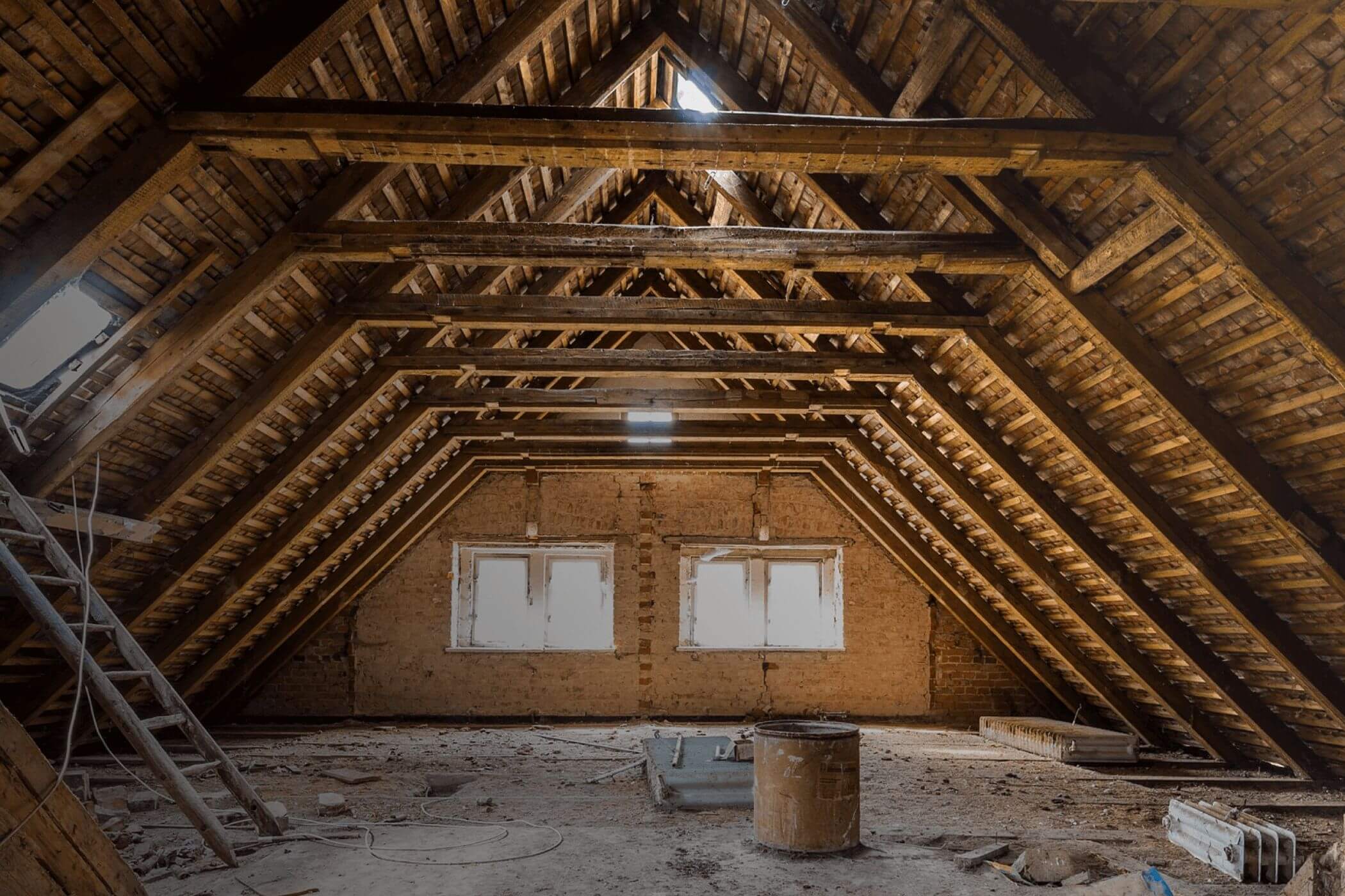 Annual Crawl Space & Attic Inspection Services Package - ESS Company